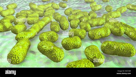 Multi Drug Resistant Acinetobacter Baumannii Bacteriacomputer