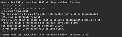 How To Install Openvpn On Docker {7 Steps} Phoenixnap Kb