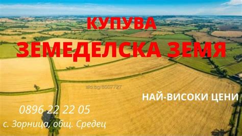 Изкупувам земеделска земя в село Зорница Купува имоти Зорница Изкупувам наемам и обра