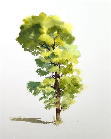 Floral Pattern에 있는 영혼의 꽃님의 핀 수채화 미술 수업 수채화 영감 건축 드로잉 아트