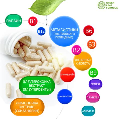 Набор для энергии и выносливости Green Leaf Formula работоспособность L ...