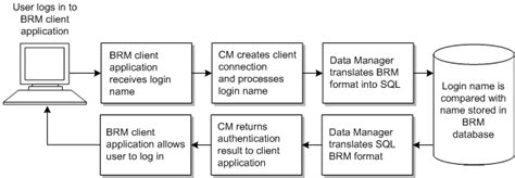Brm System Architecture