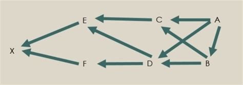 Ans 352 Genetics Final Exam Flashcards Quizlet