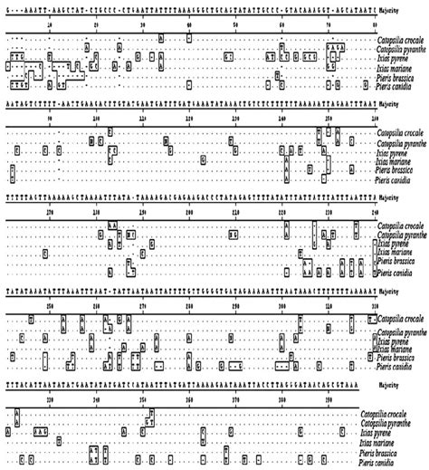 clustal v based multiple alignment of 16s ribosomal rna gene sequence