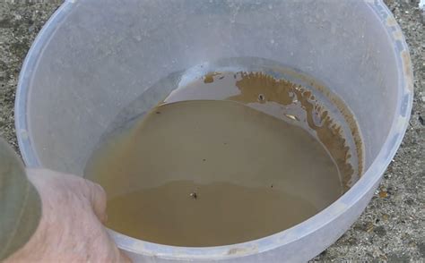 The Outdoor Traditionalist Extracting Clay From Mud