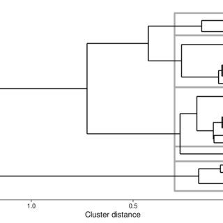Dendrogram Of Hierarchical Cluster Analysis Grey Rectangles Indicate