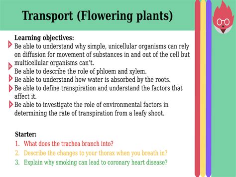 IGCSE Edexcel Biology Structure And Functions In Living Organisms Teaching Resources