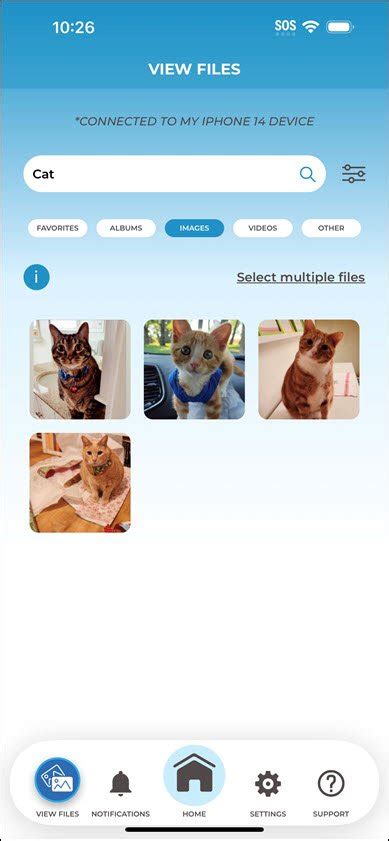 Searching Filtering And Sorting Files On Ipadiphone Thephotostick
