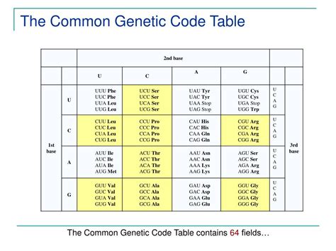 Ppt A Purine Pyrimidine Classification Scheme Of The Genetic Code Powerpoint Presentation Id