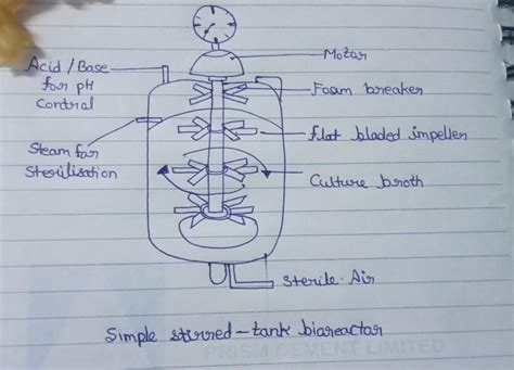 Draw Neat Labelled Diagram Of Simple Stirred Tank Bioreactor