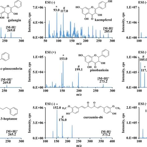 the fragmentation patterns and chemical structures of seven analytes