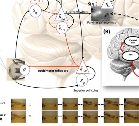 E Scheme Of The Computational Model Adopted In The Study The System Download Scientific