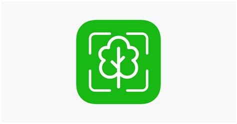 ‎tree Identifier Picture Tree En App Store