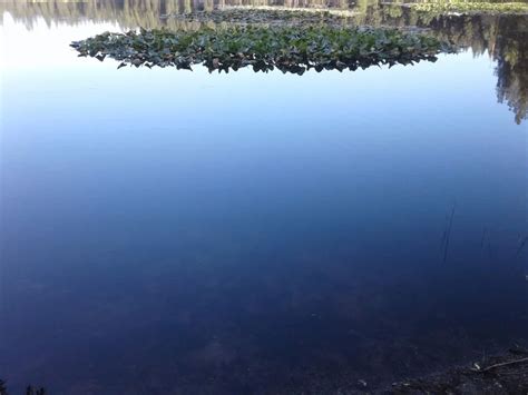 Mokins Bay Campground In Hayden What To Know Before You Go