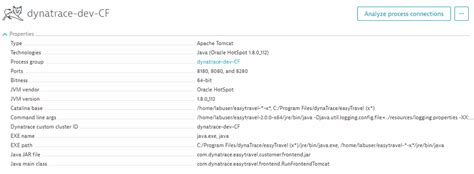define your own process group metadata — dynatrace docs