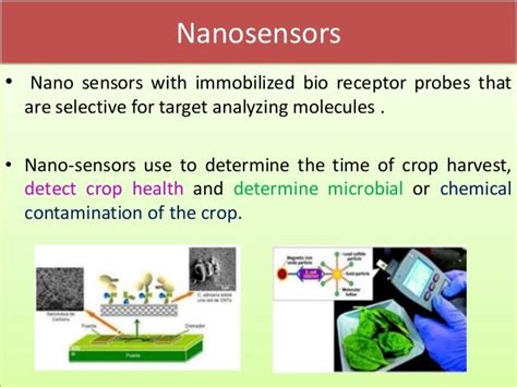 Nano Technology In Agriculture