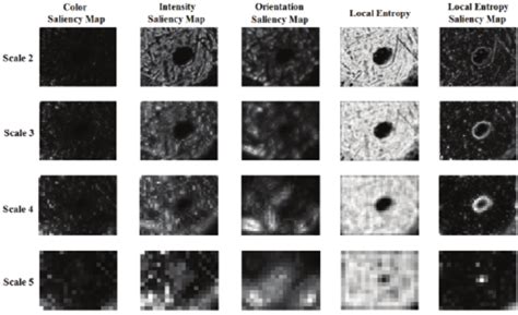 Feature Saliency Maps In Variety Scales Download Scientific Diagram