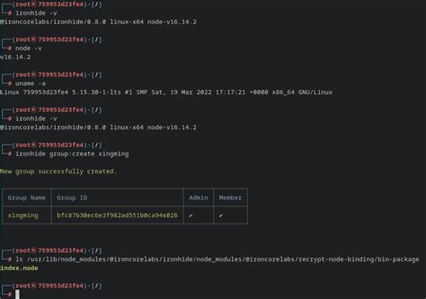 这个错误是什么意思 Issue IronCoreLabs ironhide GitHub
