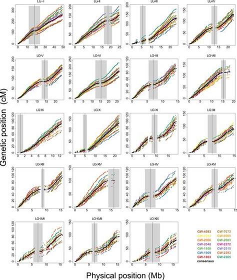 High Resolution Mapping Reveals Hotspots And Sex Biased Recombination