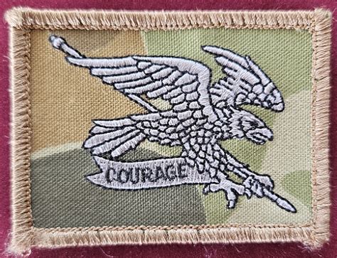 Barracks Patch 2nd Cavalry Regiment Dpcu Welcome To Australian