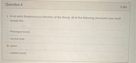 Solved Question 41 ﻿ptsIn an early Streptococcus infection | Chegg.com
