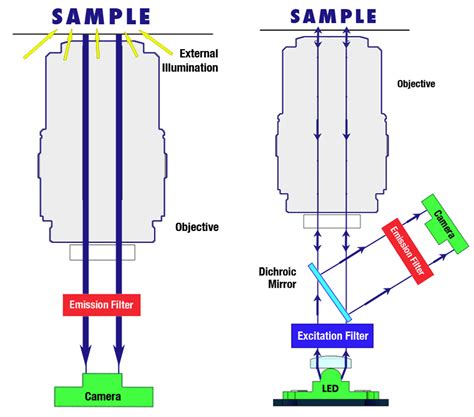 美国labsmith Svm340 倒置荧光视频显微镜