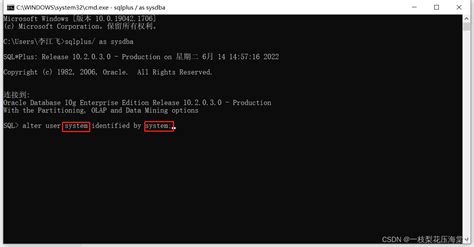 Oracle修改用户密码 Alter User System Identified By System Csdn博客