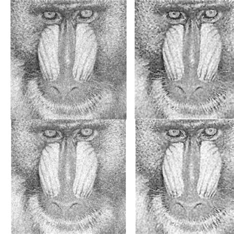 Psnr Salt And Pepper And Gaussian Noise Download Scientific Diagram