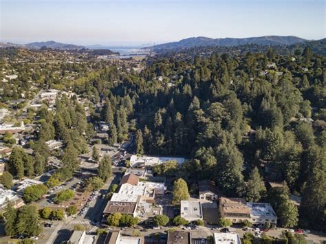 4 Reasons To Visit Mill Valley California Mill Valley Community Website