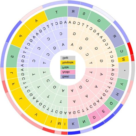 The Standard Genetic Code Sgc And A Hopfield Optimized Genetic Code Download Scientific
