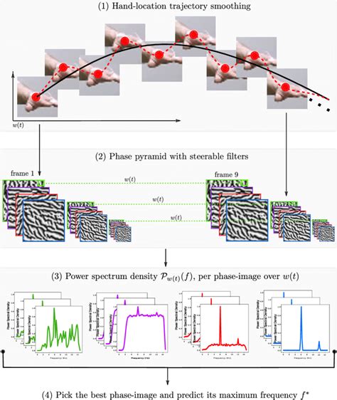 Eulerian Hand Tremor Estimation Is Based On Frequency Estimation In
