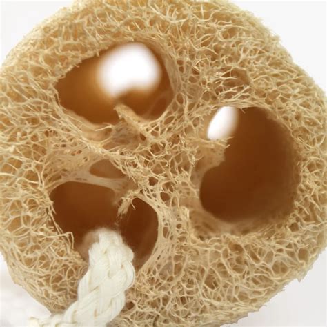 Loofah Institute Of Making