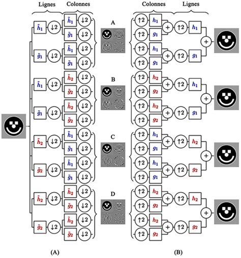 hybrid successive cfa image encryption watermarking algorithm based on