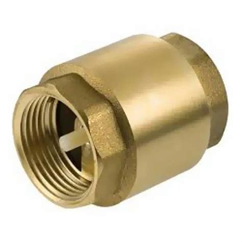 Brass Non Return Valve At ₹ 2060 Unit In Kolkata Id 14817639762