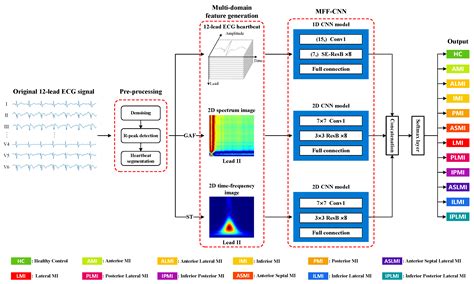 A Multi Domain Feature Fusion Cnn For Myocardial Infarction Detection And Localization