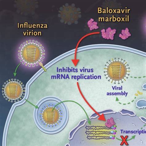 แนวทางเวชปฏิบัติสำหรับโรค บริบาลเภสัชกรรม พระนครศรีอยุธยา Facebook