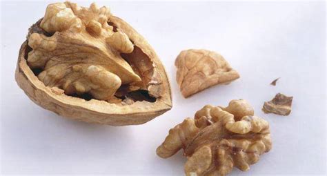 सेक्स टिप 6 अखरोट खायें और शुक्राणु Sperm की संख्या बढ़ायें हिंदी