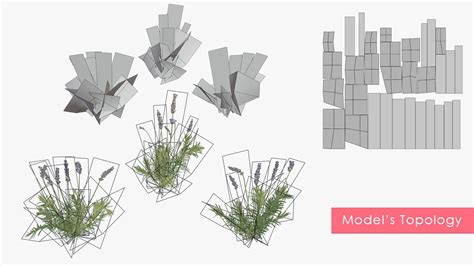 Lavender Random Distribution 3d Model Blender Obj Pbr Sm5