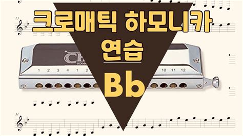 크로매틱 하모니카 Bb키 스케일 연습 Youtube
