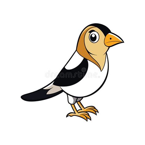 Unique Bobolink Illustration For Coloring Fun Stock Image Illustration Of Creativity Animal