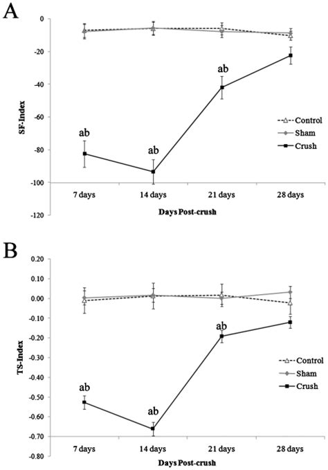 comparison of functional recovery determined by the sciatic functional