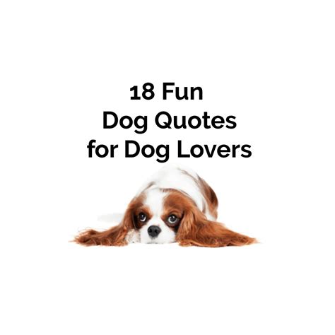Doga Quotes