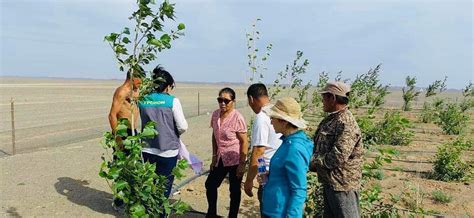 Өмнөговь Газар тариалангийн талбайн сургалт зохион байгууллаа Хүнсний хувьсгал