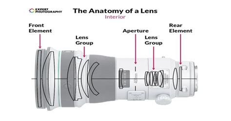 Why Are Camera Lenses So Expensive Step By Step Guide