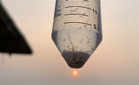 Research Microplastics In The Marine Environment Understanding How