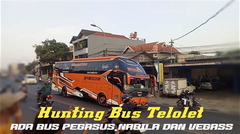 Hunting Bus Telolet Ada Bus QQ Trans Nabila Dan Vegass - YouTube