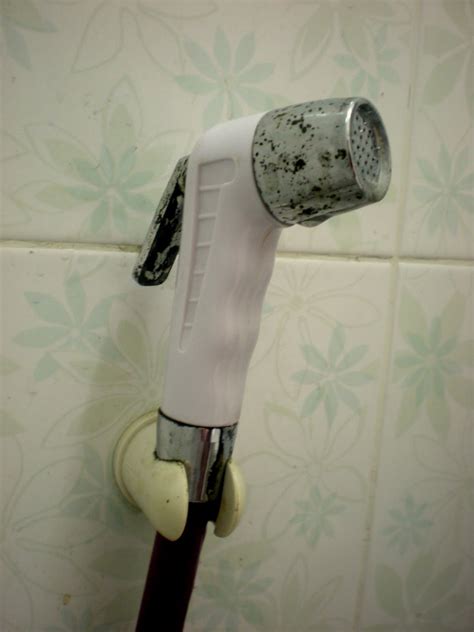 Beclouded But Beholding The Light Thai Cultural Lessons 6 [toilets]
