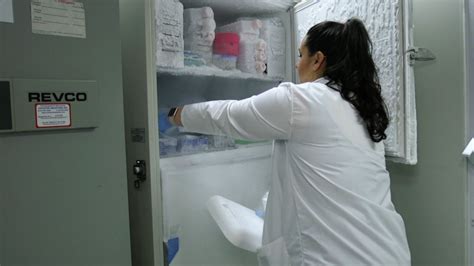 Video A Stainless Protocol For High Quality Rna Isolation From Laser Capture Microdissected