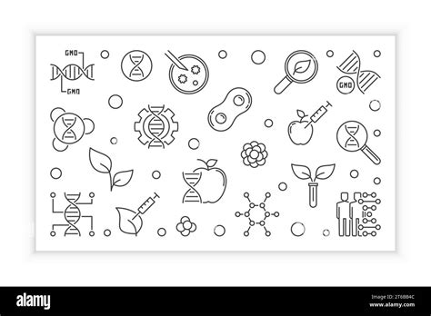 Gmo Concept Vector Simple Horizontal Banner In Thin Line Style Stock Vector Image And Art Alamy
