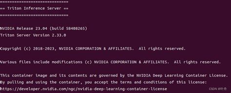 Triton算法服务部署：初识与试用【hello World】triton Cv服务部署 Csdn博客